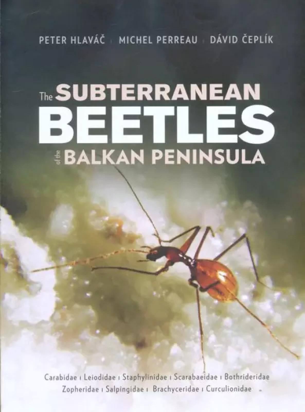 The Subterranean beetles of the Balkan Peninsula - Peter Hlaváč, Michel ...
