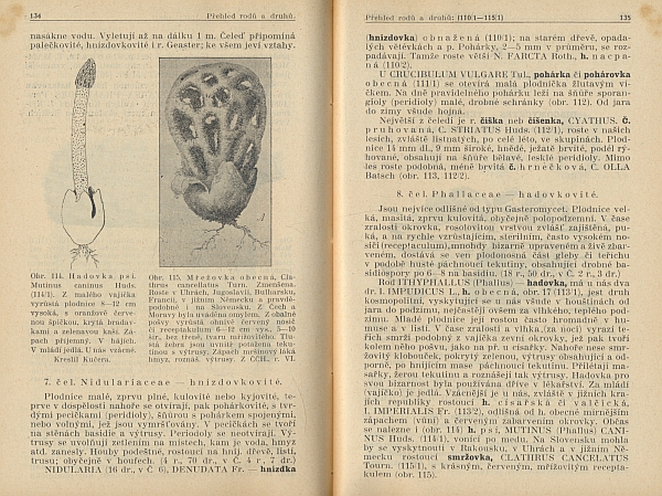 Přehled hub - Smotlacha F. (kniha) | Antikvariatik.sk
